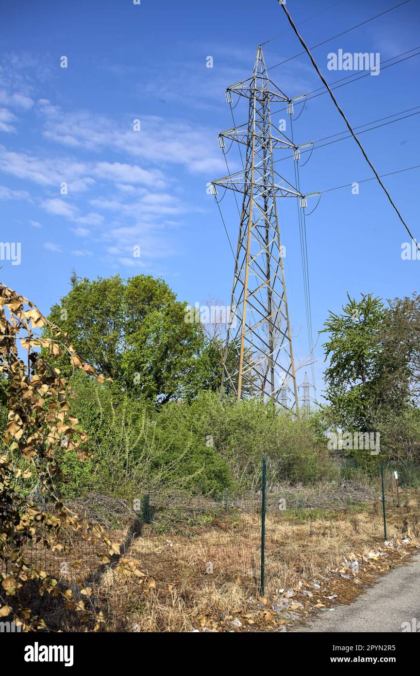 Electricity pylons framed by trees with the sky as background Stock ...