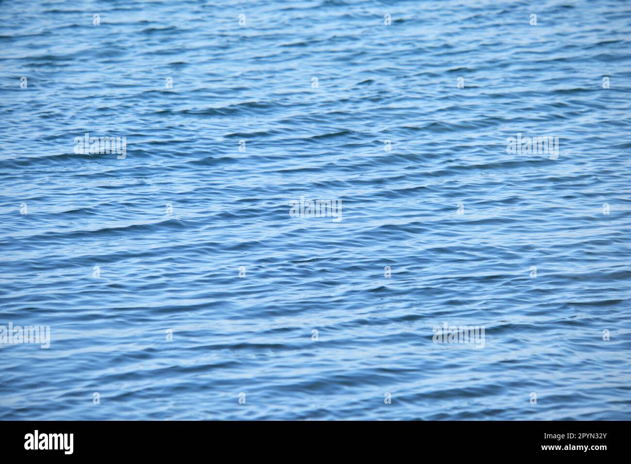 Closeup seascape surface of blue sea water with small ripple waves ...