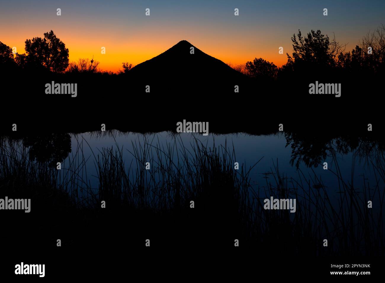 Manzanita Spring dawn from Smith Spring Trail, Guadalupe Mountains ...