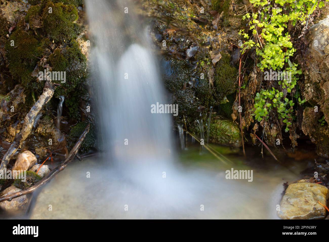 Smith spring trail hi-res stock photography and images - Alamy