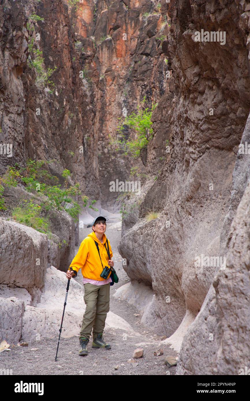 Closed Canyon, Big Bend Ranch State Park, Texas Stock Photo - Alamy