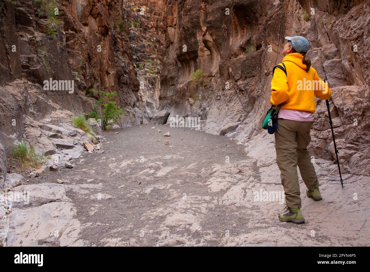 Closed Canyon, Big Bend Ranch State Park, Texas Stock Photo - Alamy