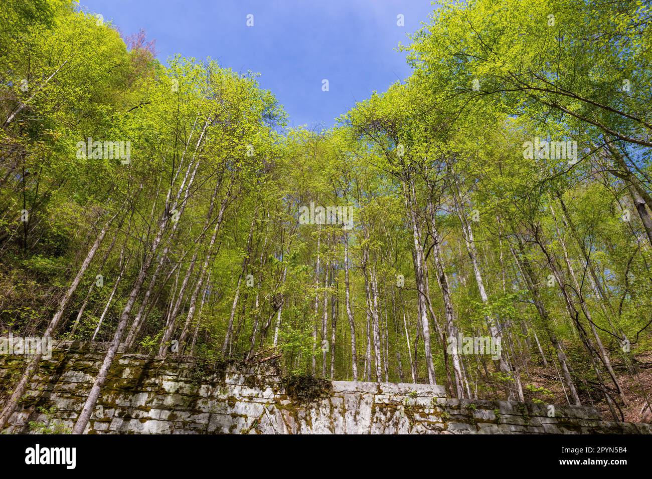 Bryson hill hi-res stock photography and images - Alamy