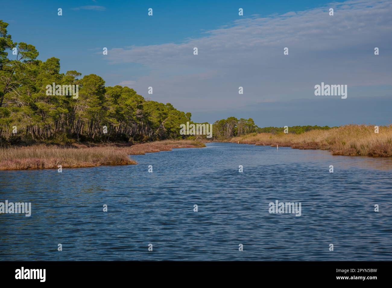 Sunny day in The Divjake-Karavasta National Park - view at the Lagoon ...