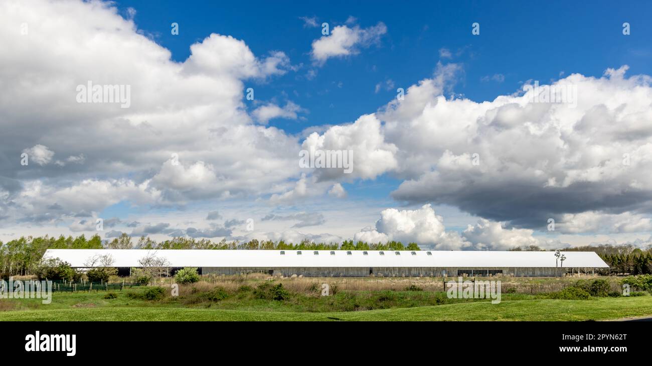Herzog and de neuron hi-res stock photography and images - Alamy