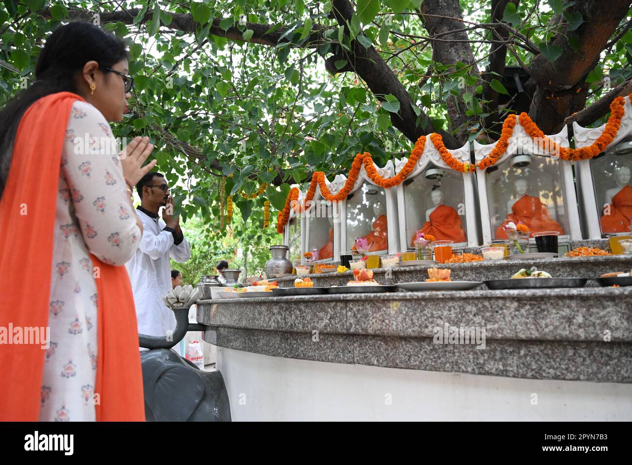Buddhist devotee offers prayers at a temple during the Buddha Purnima ...