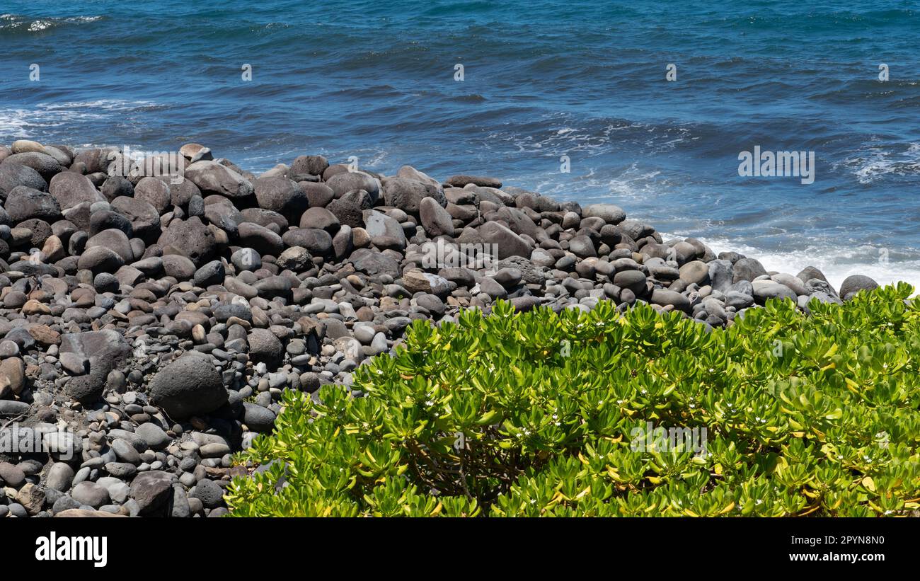 Scenes from the beautiful beaches of La Reunion, France Stock Photo - Alamy