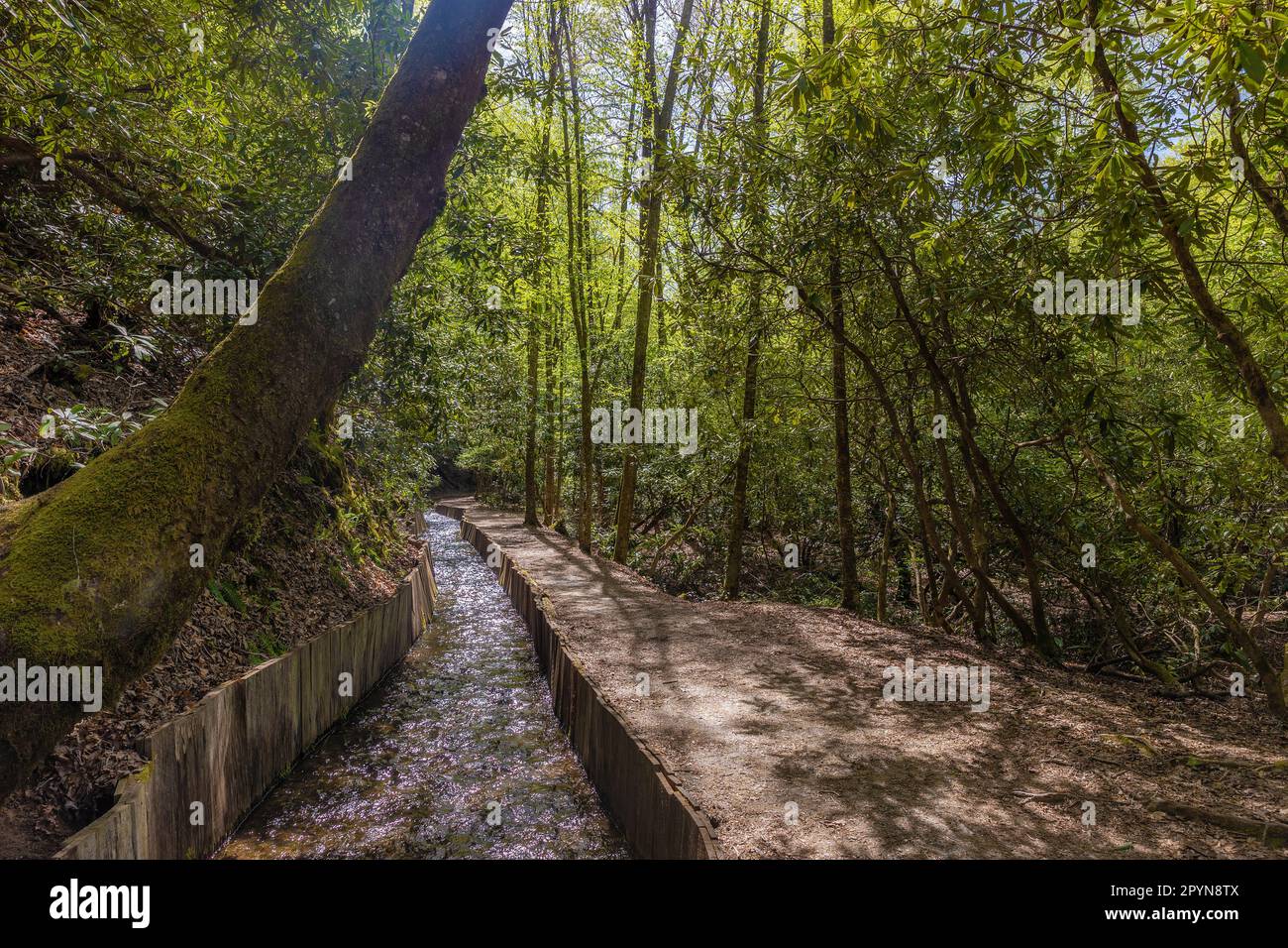 A foot path follows water being funneled toward a steel turbine ...