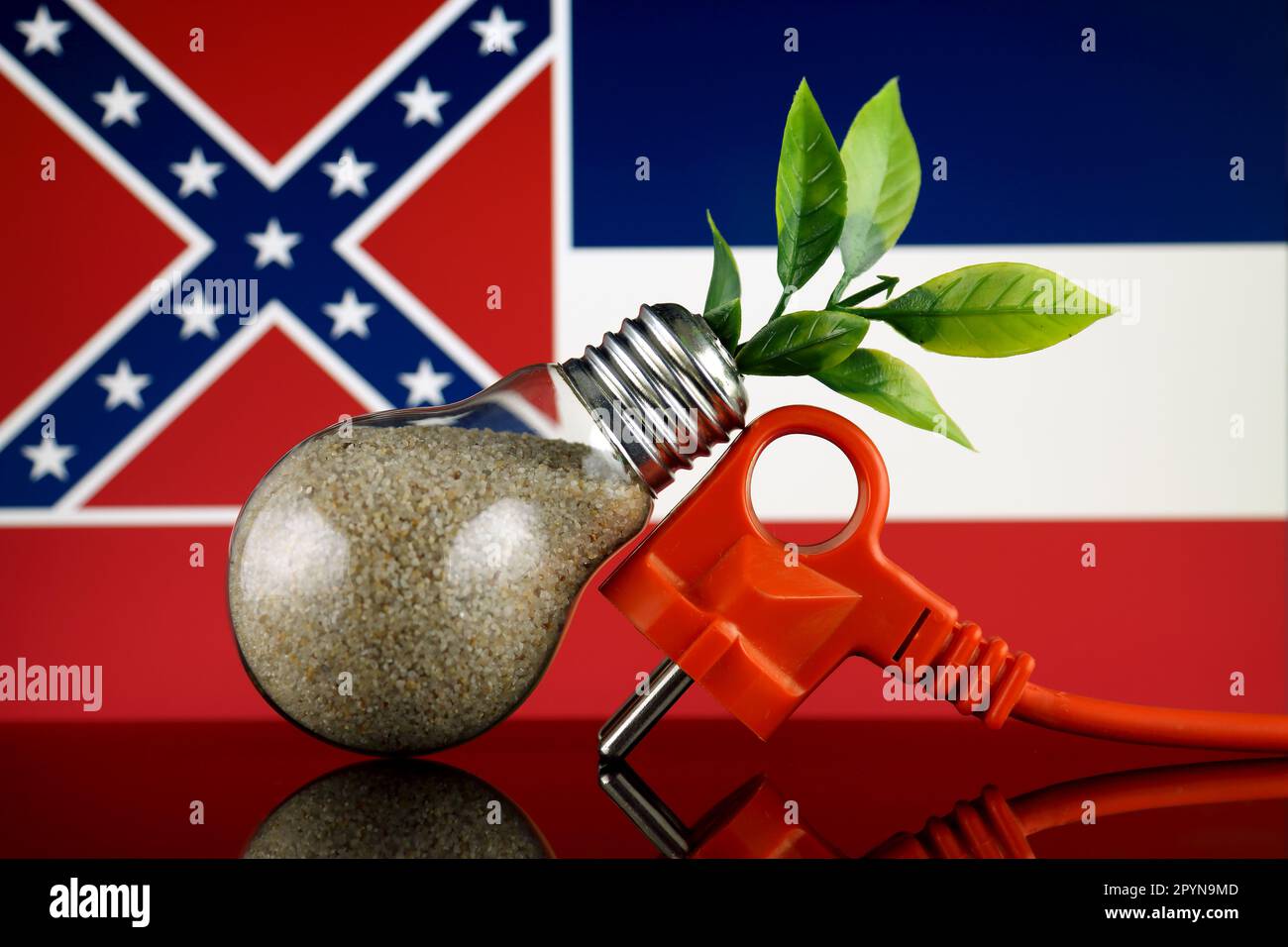 Plug, plant growing inside the light bulb and Mississippi State Flag ...