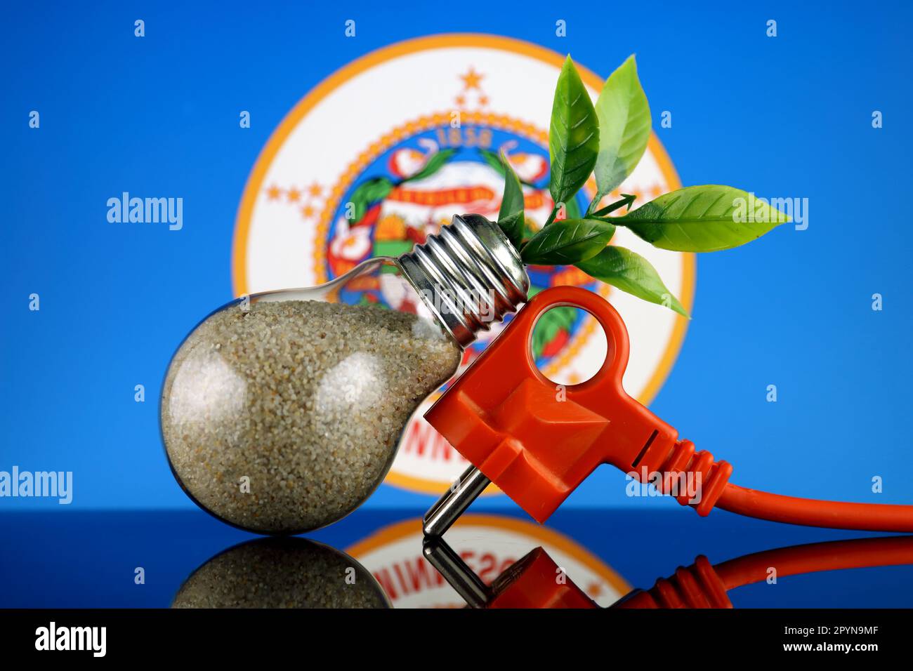 Plug, plant growing inside the light bulb and Minnesota State Flag ...