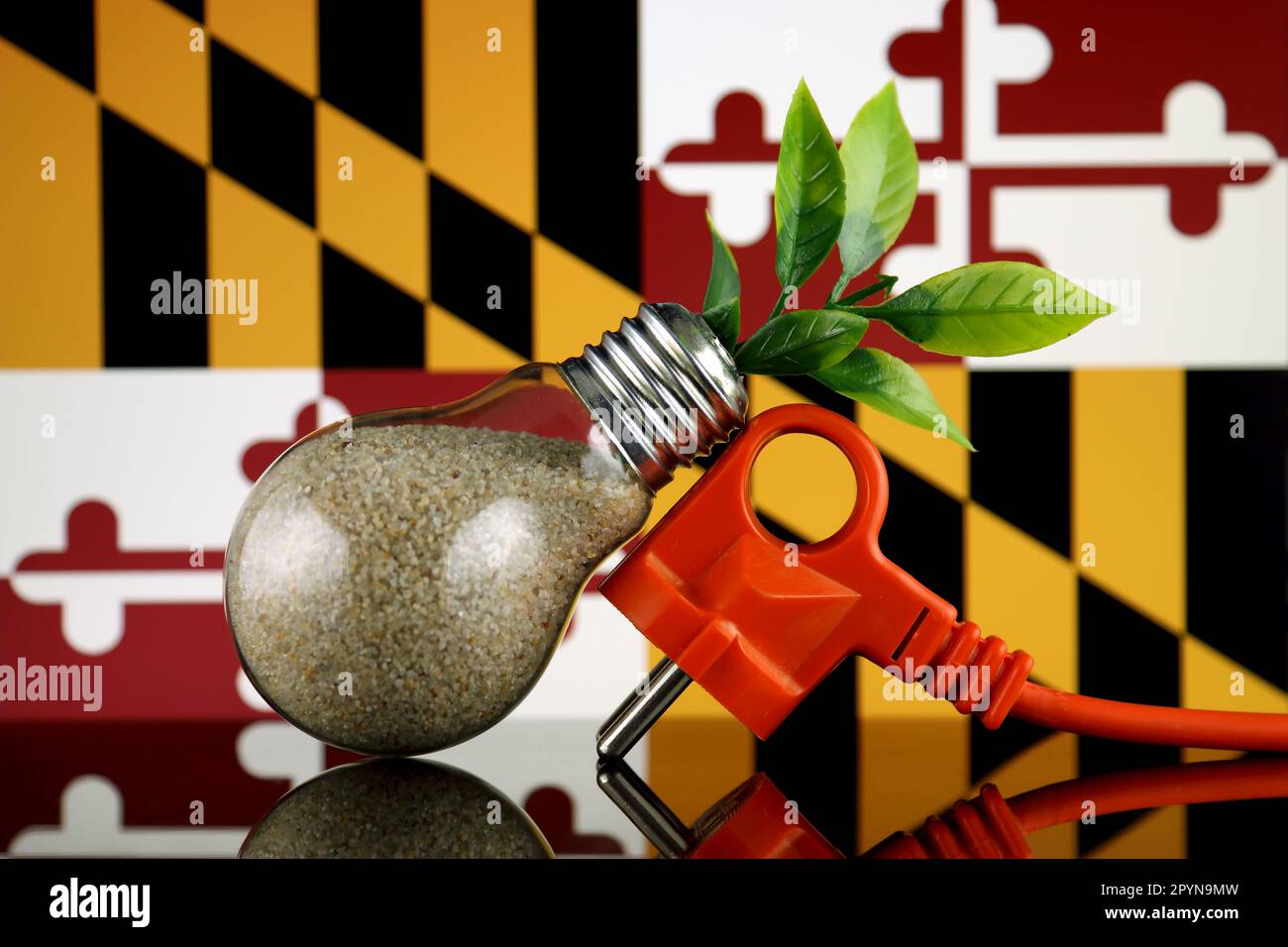 Plug, plant growing inside the light bulb and Maryland State Flag ...