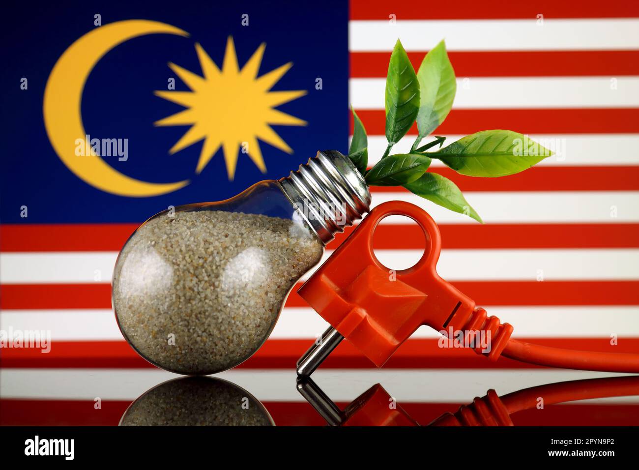 Plug, plant growing inside the light bulb and Malaysia Flag. Green eco ...