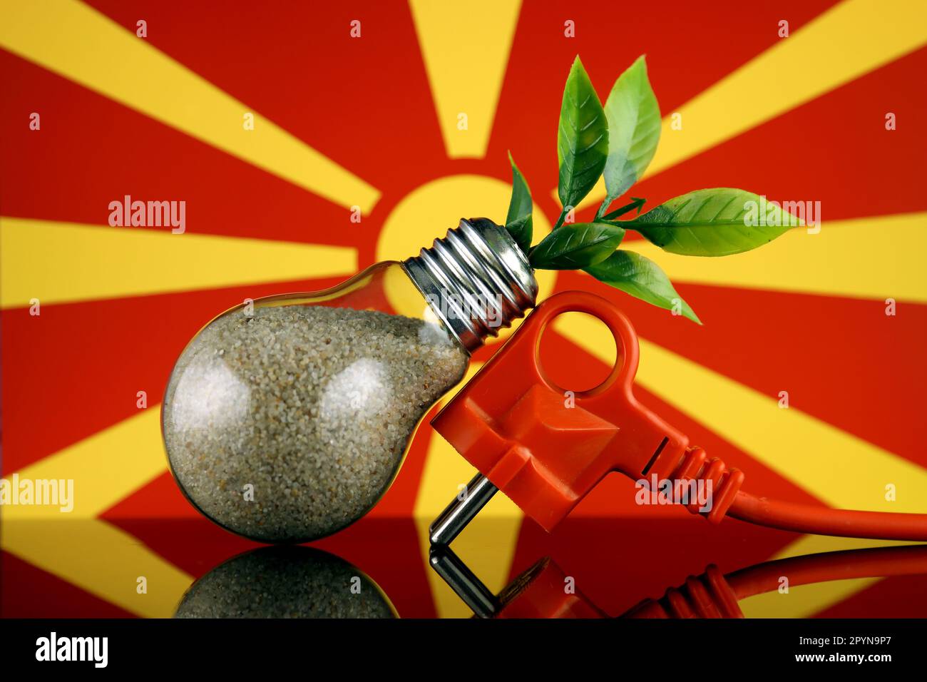 Plug, plant growing inside the light bulb and Macedonia Flag. Green eco ...