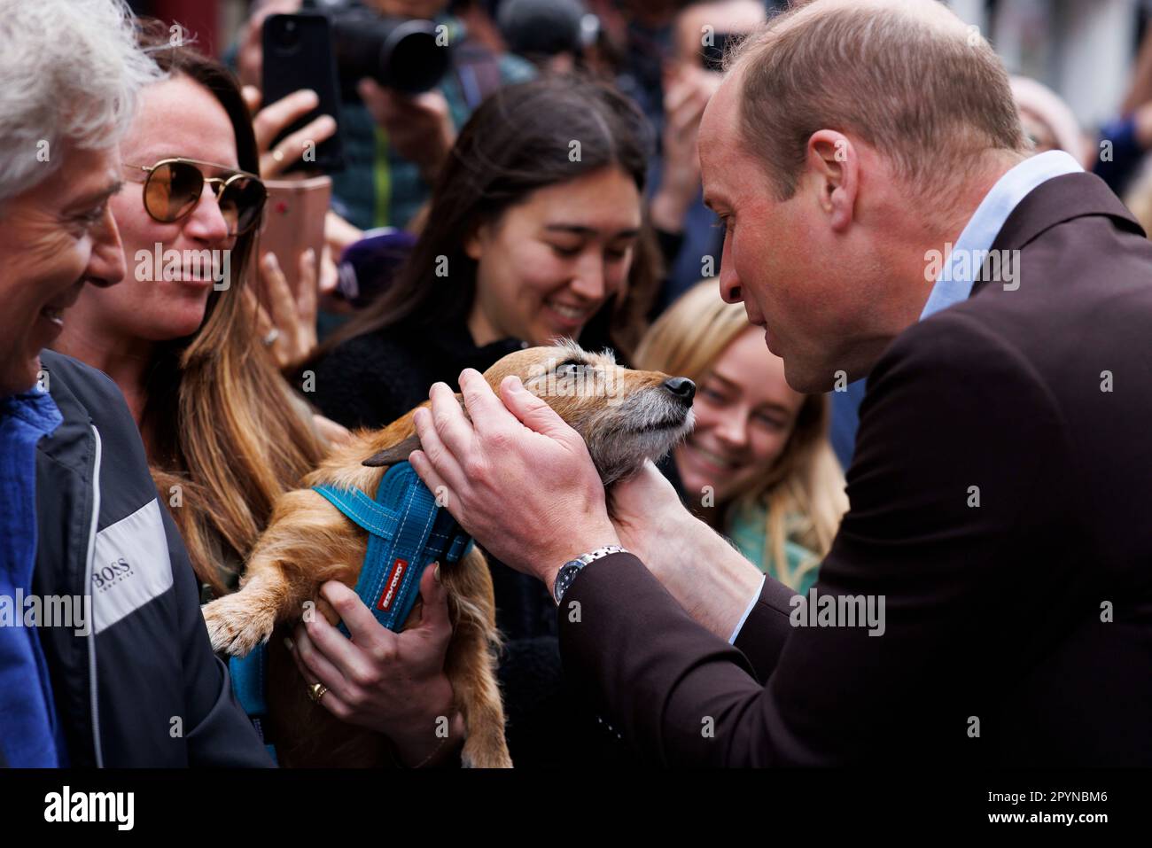 William, Prince of Wales plays with a royal fan’s dog during a ...
