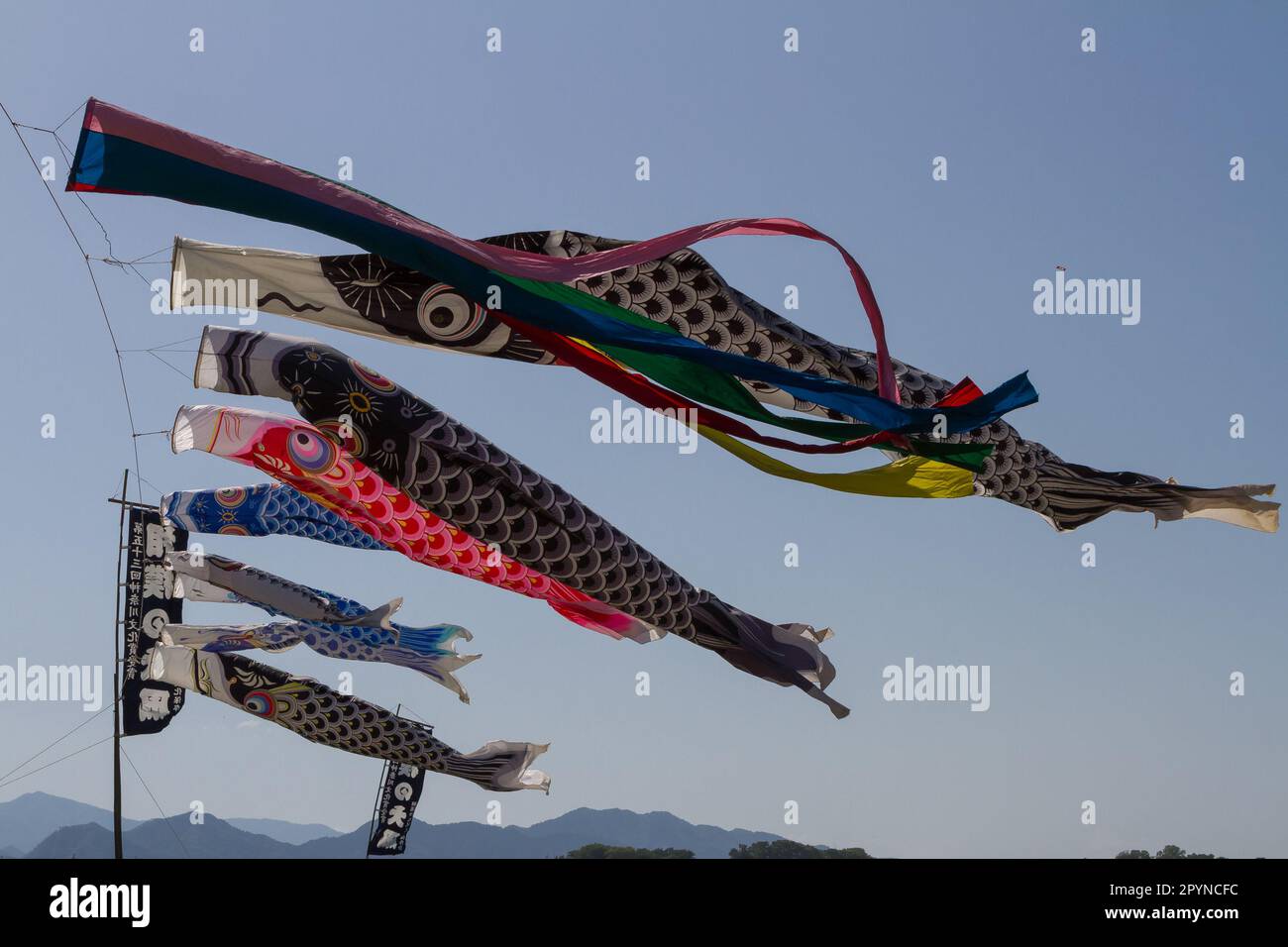 Koinobori (carp streamers) flown for Children's Day on mat 5th at the ...