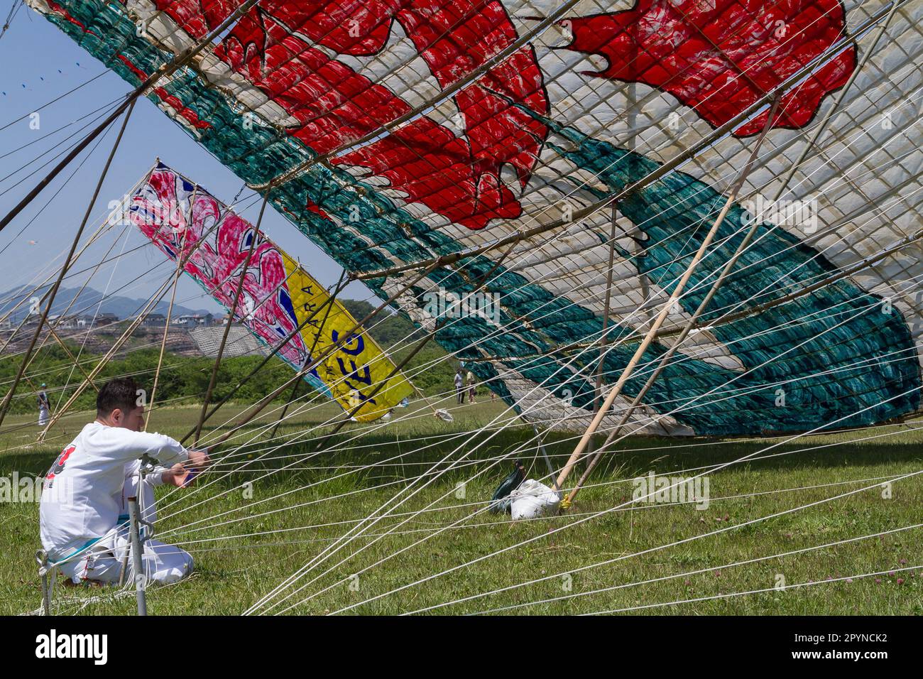 A festival supporter rests among ropes tied to large kites at the ...