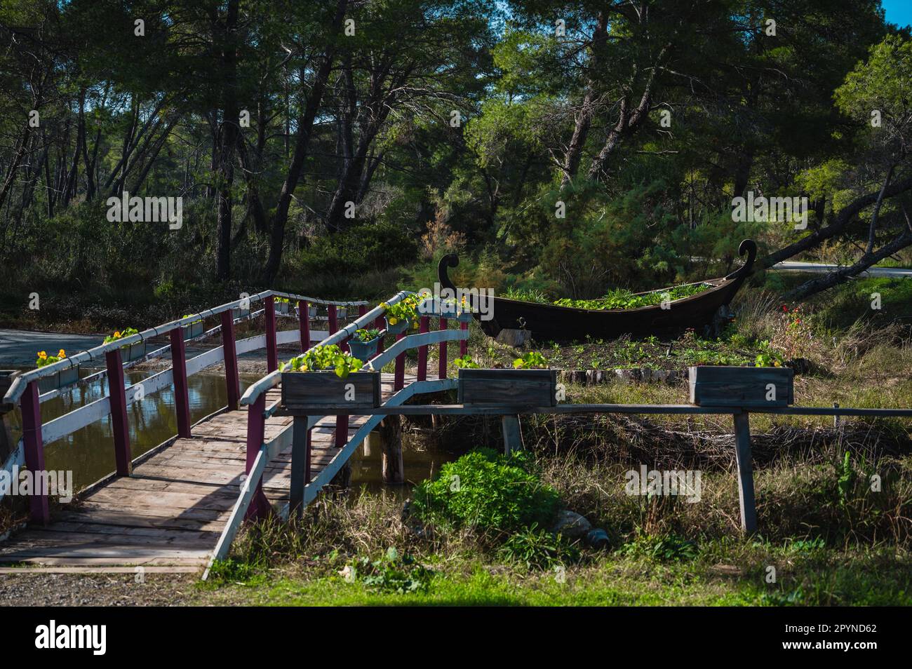 Divjake-Karavasta National Park in Albania. Beautiful landscape. travel ...