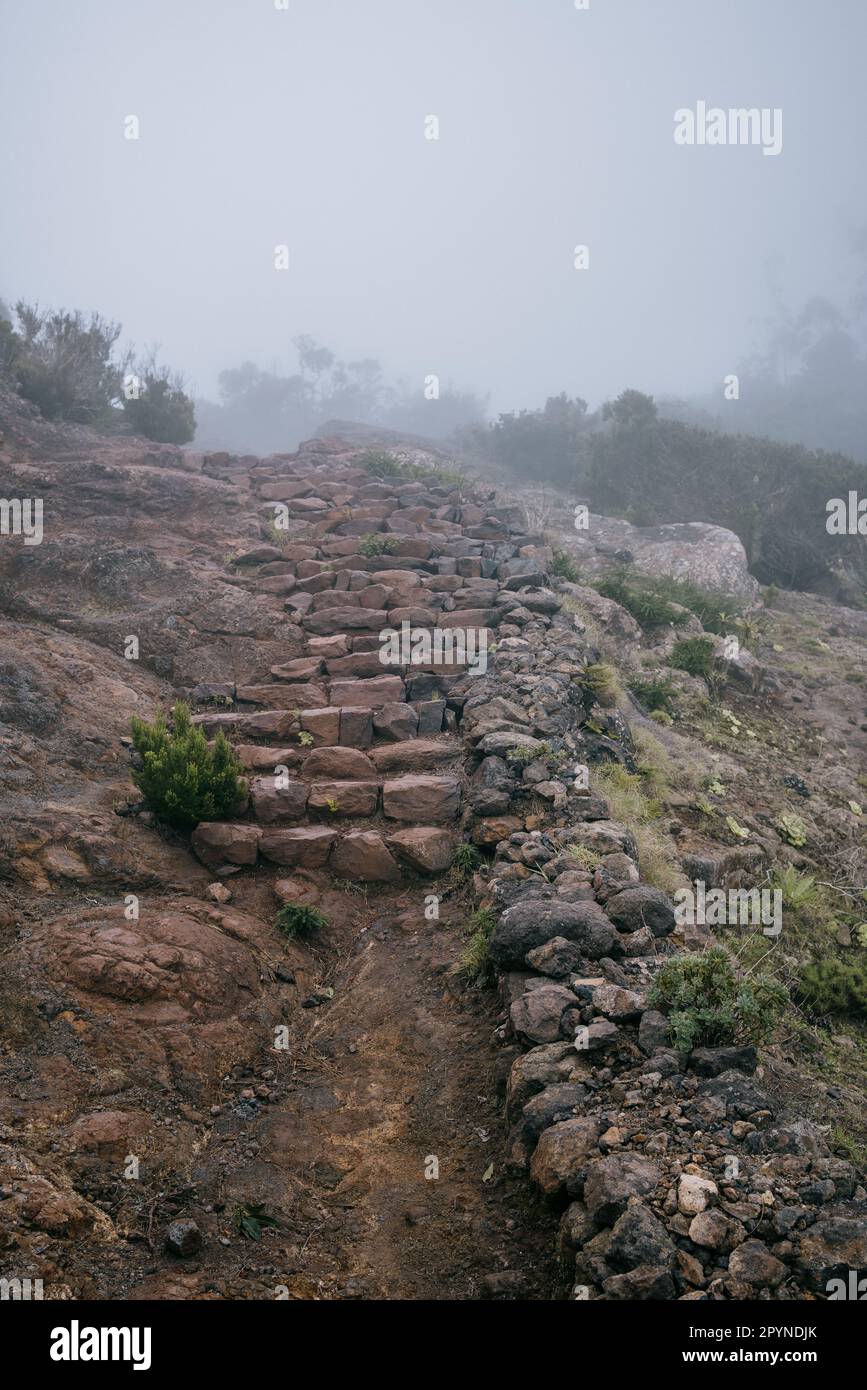 A rocky path with steps ascending up through the misty morning fog ...