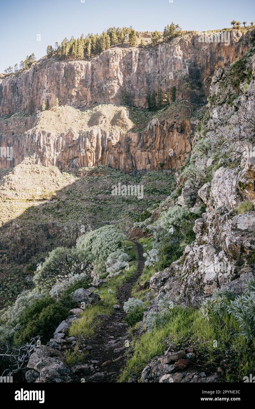 A picturesque landscape featuring a hill with a cliff and trees at the ...
