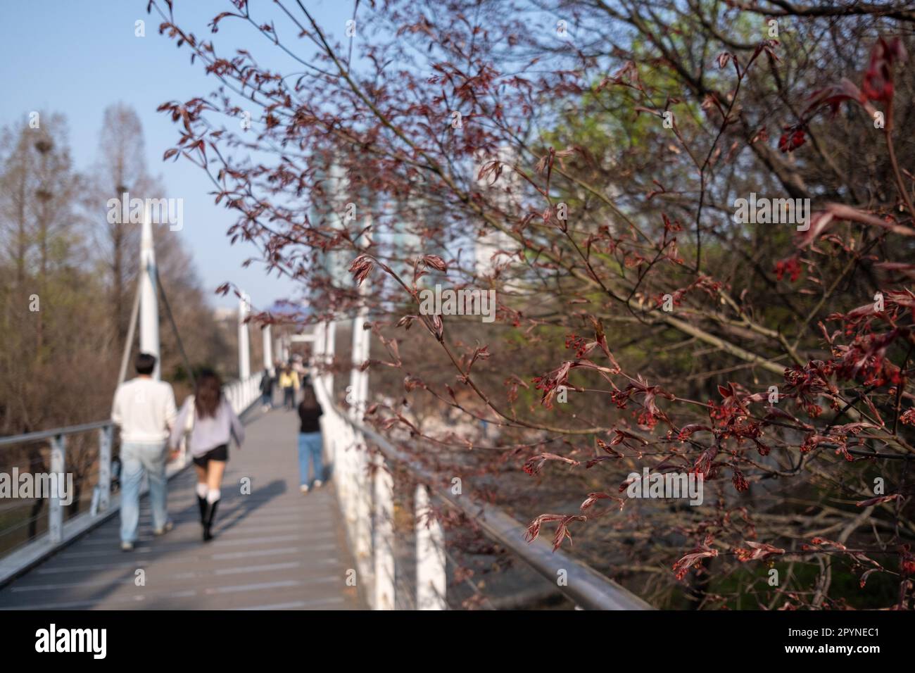 Bridge walkway with spring landscape and people on the background ...