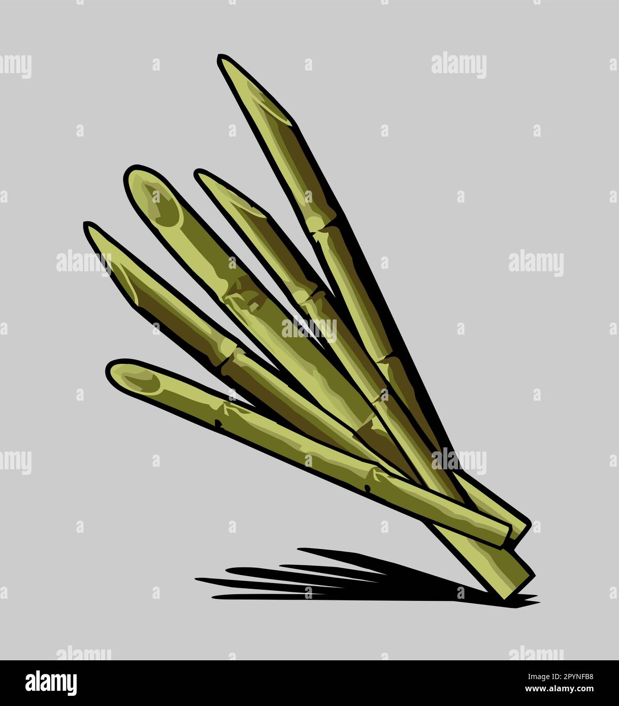 Sharpened bamboo hi-res stock photography and images - Alamy