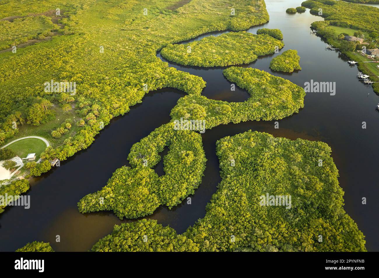 Overhead view of Everglades swamp with green vegetation between water ...