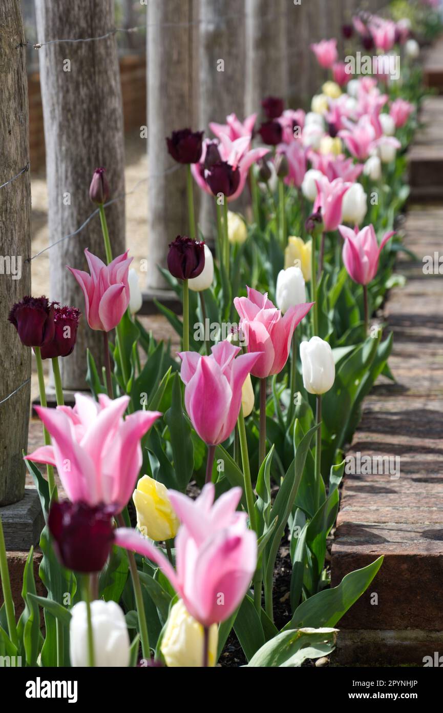 Nt mottisfont abbey hi-res stock photography and images - Alamy