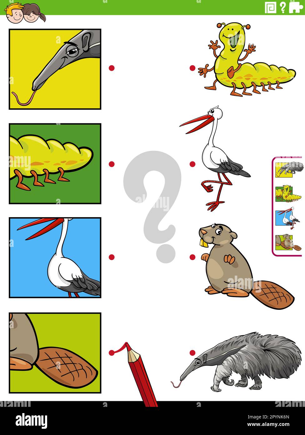 Cartoon illustration of educational matching game with animal ...