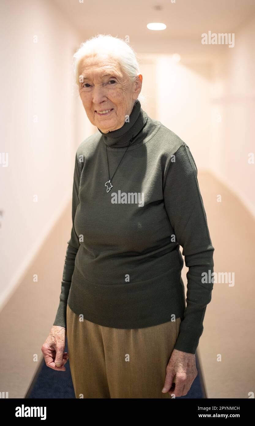 Jane morris goodall hi-res stock photography and images - Alamy