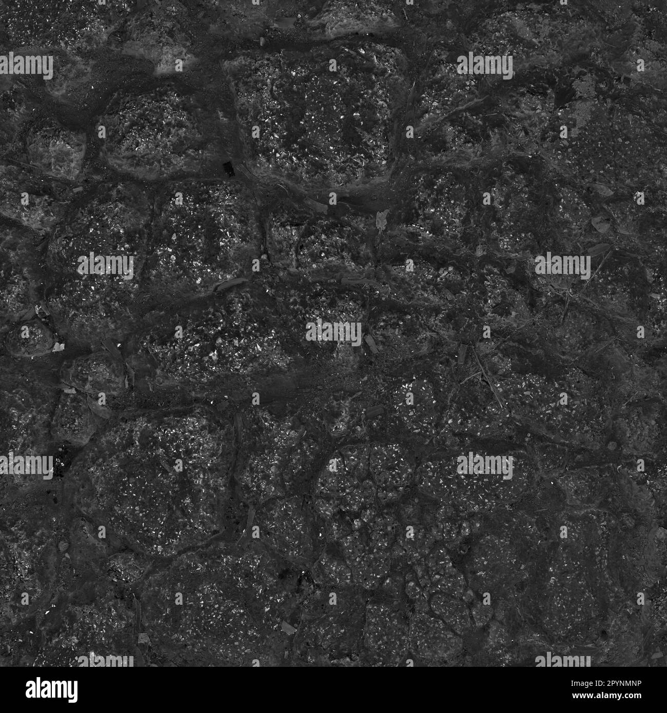 Specular Map Texture