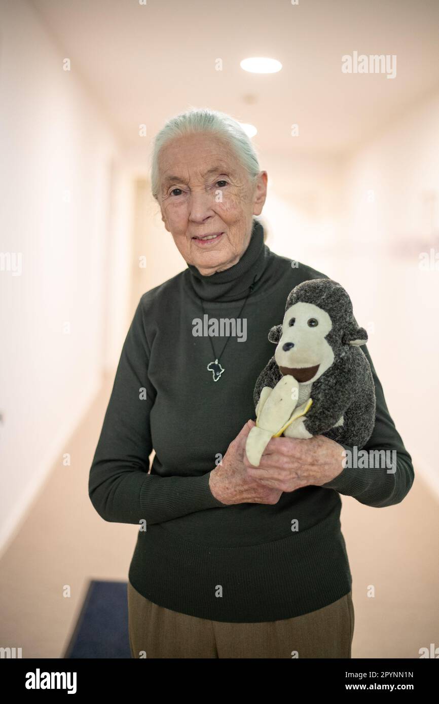 Jane goodall monkey hi-res stock photography and images - Alamy