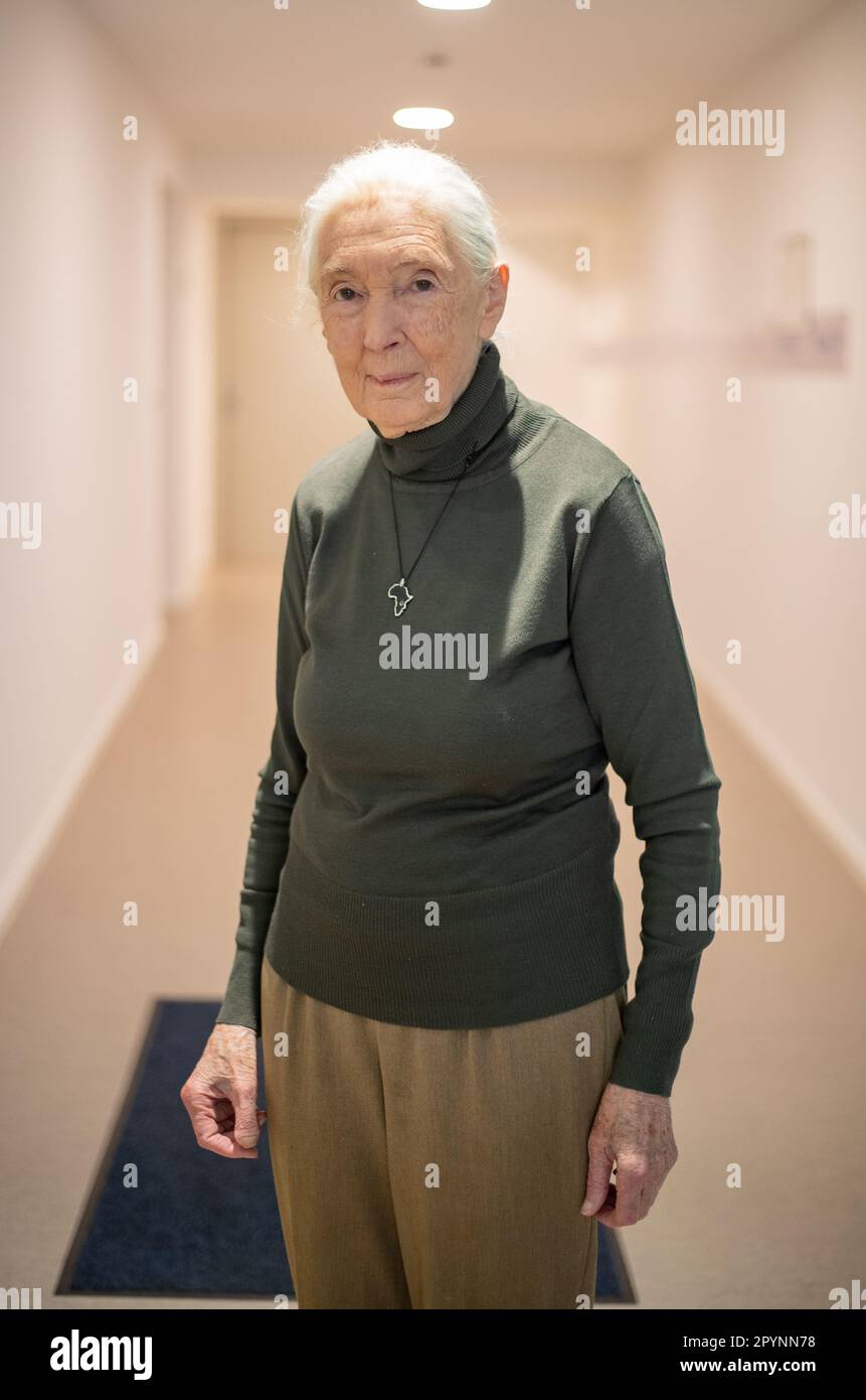 Dame jane morris goodall hi-res stock photography and images - Alamy