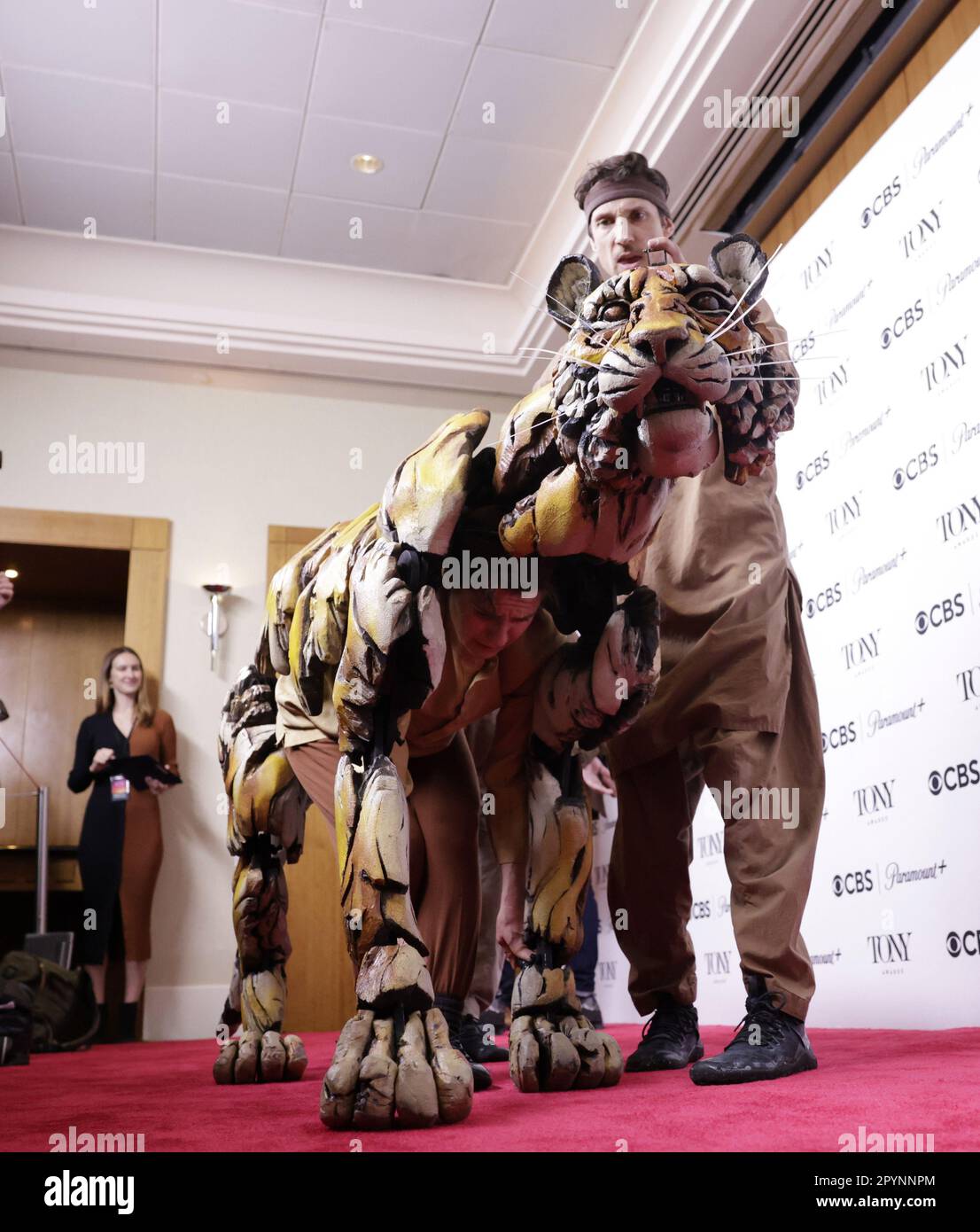 New York, United States. 04th May, 2023. The life-size tiger puppet ...
