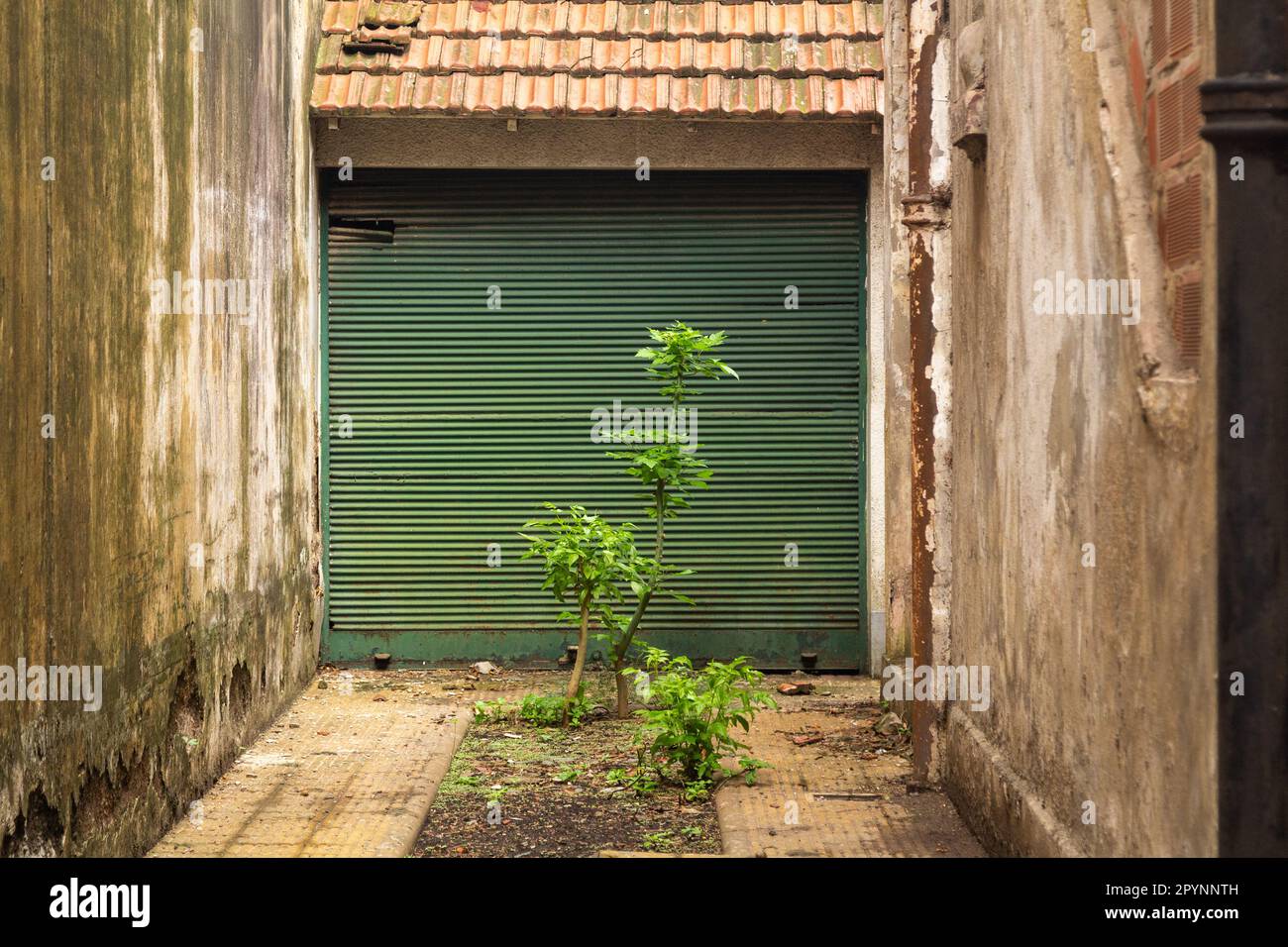 antique alley with a green door at the end Stock Photo - Alamy