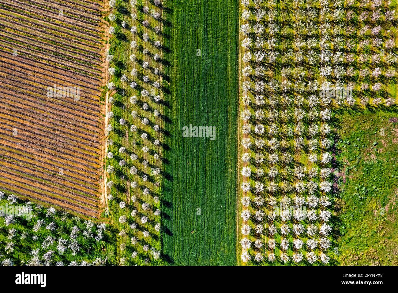 Fields at the great plains of Thessaly, somewhere between Deleria and ...