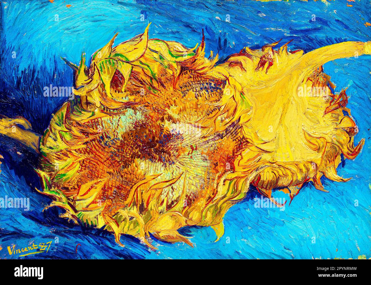 Old dutch flower still life hi-res stock photography and images - Alamy