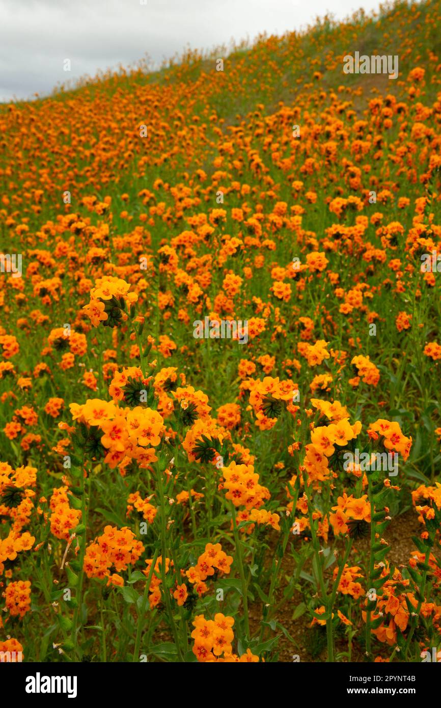 Tumey hills recreation area hi-res stock photography and images - Alamy