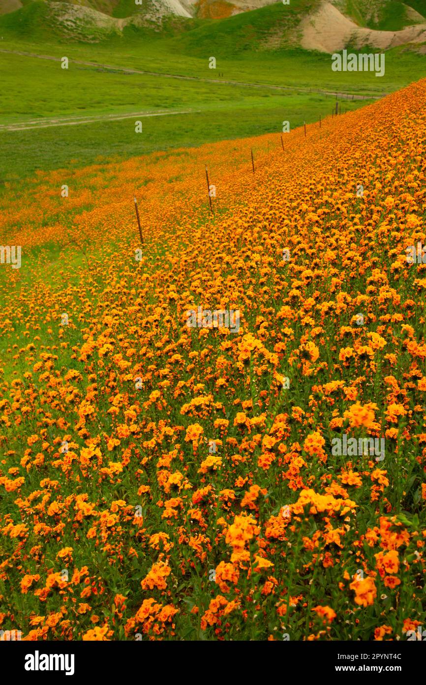 Tumey hills recreation area hi-res stock photography and images - Alamy