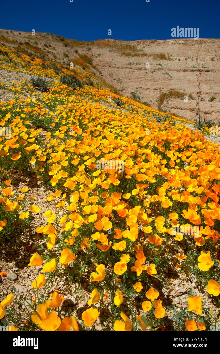 Tumey hills recreation area hi-res stock photography and images - Alamy