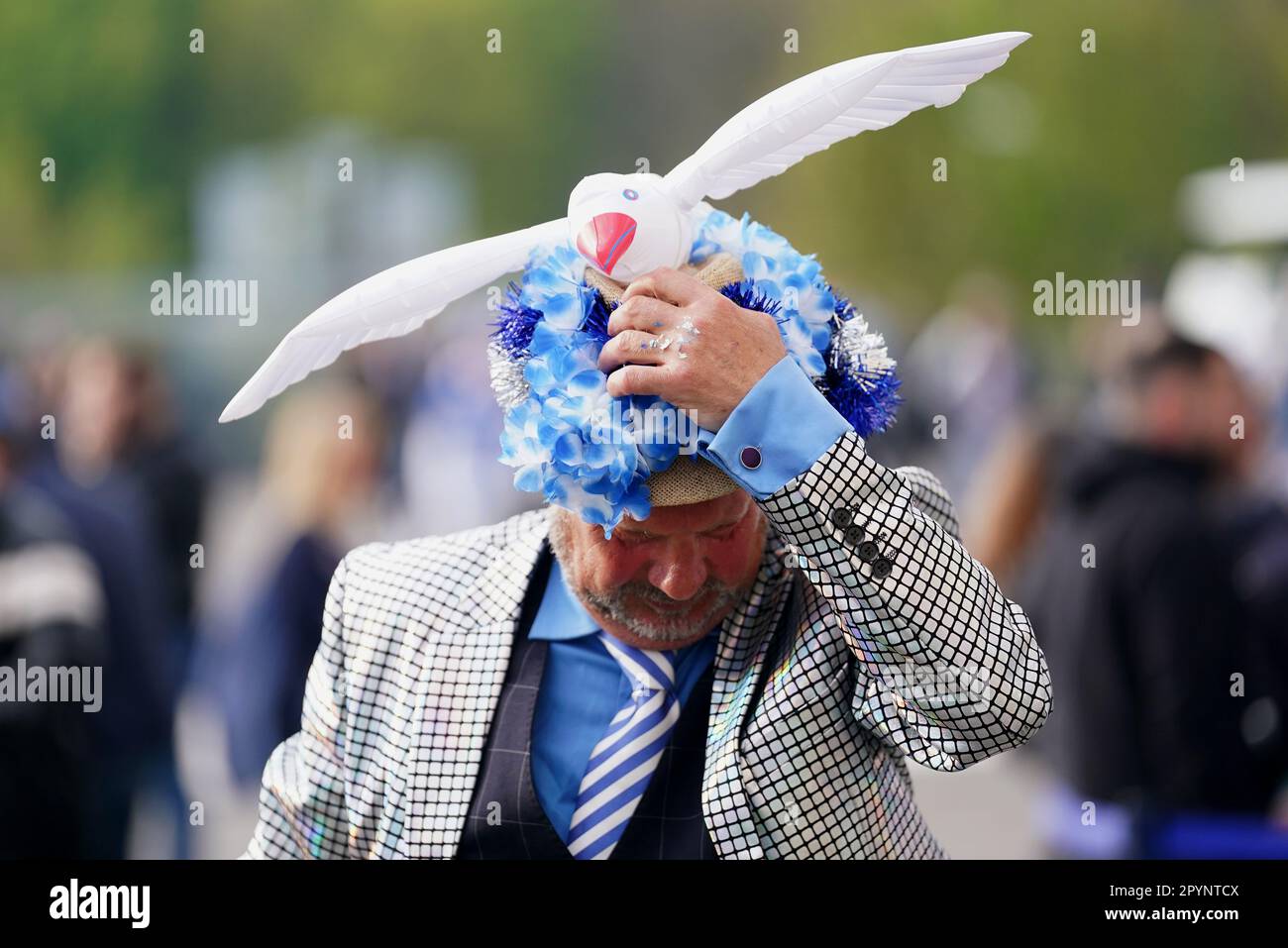 A Brighton and Hove Albion fan wearing a seagull hat arriving before ...