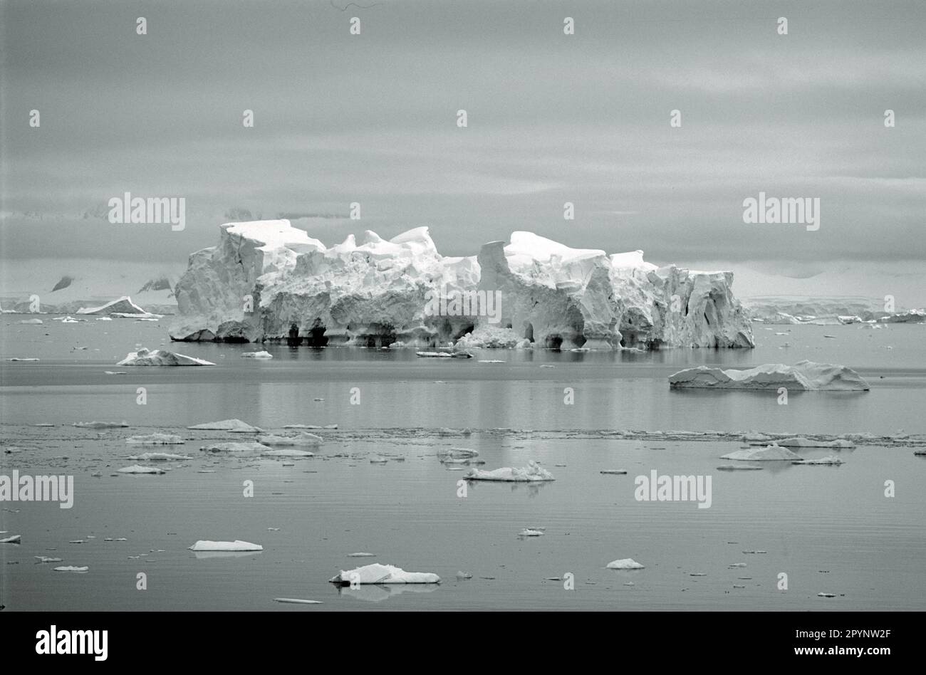 Antarctica antarctic glacier snow Black and White Stock Photos & Images ...