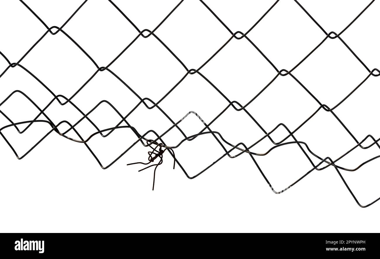 The texture of the metal mesh on a white background. Torn steel, metal ...