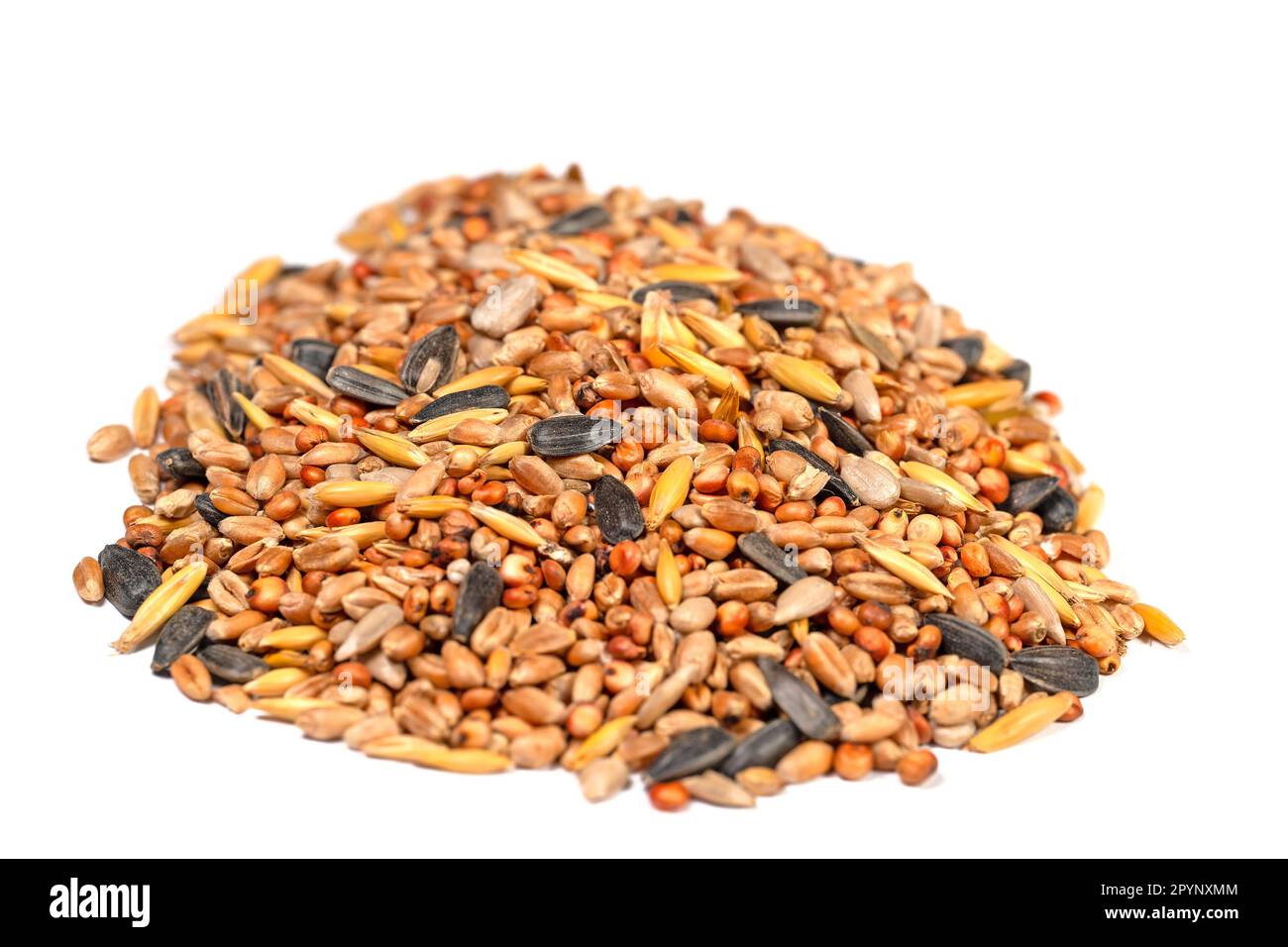 Mixed winter feed for birds against white background Stock Photo - Alamy