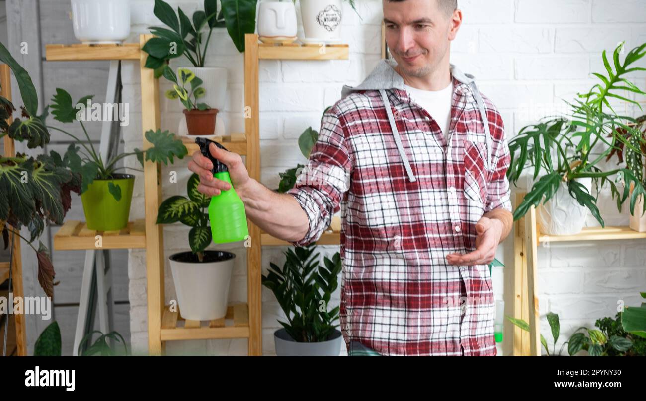 Man sprays from a spray gun home plants from her collection, grown with ...