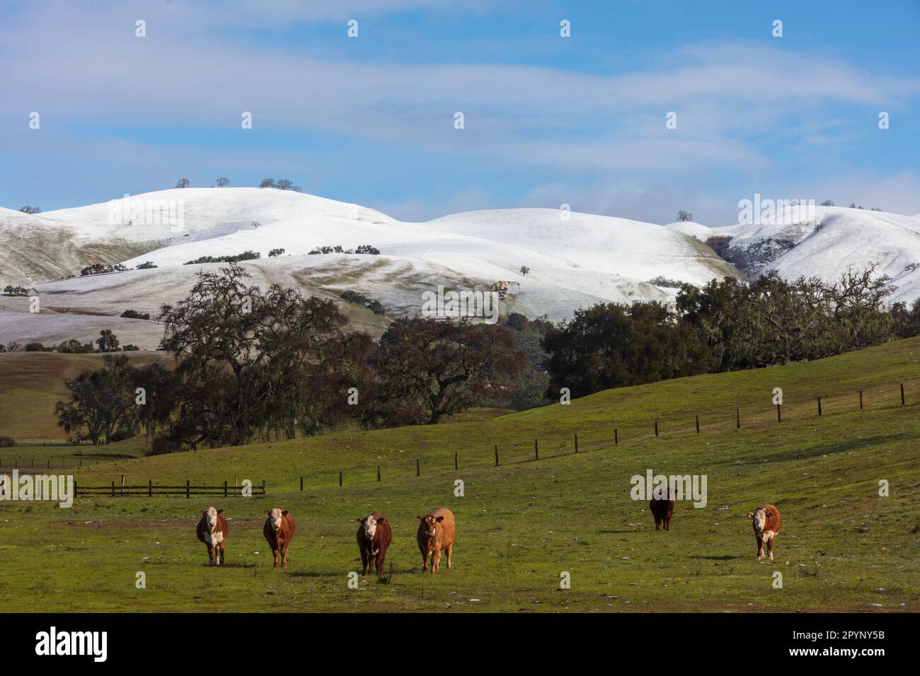 Califorina rural hi-res stock photography and images - Alamy
