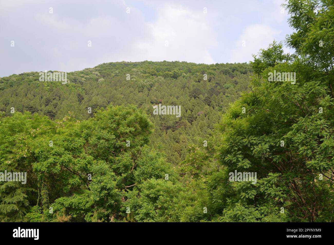 Mount Taishan has overlapping mountains, stacked with thick bodies ...