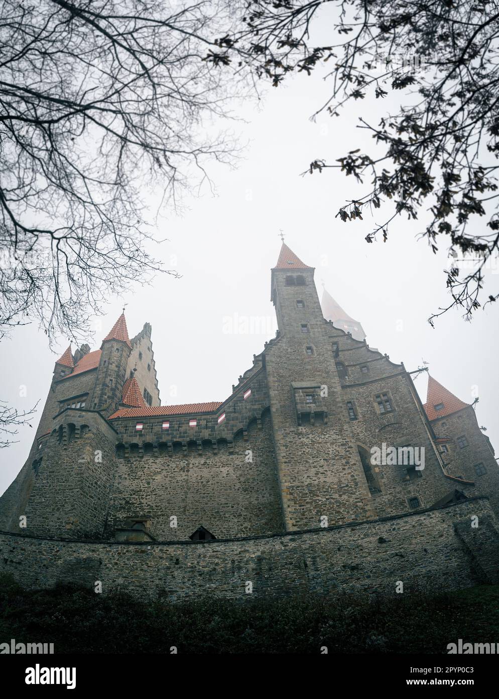 Misty gothic castle, without doubt bewitched place full of mystery and ...