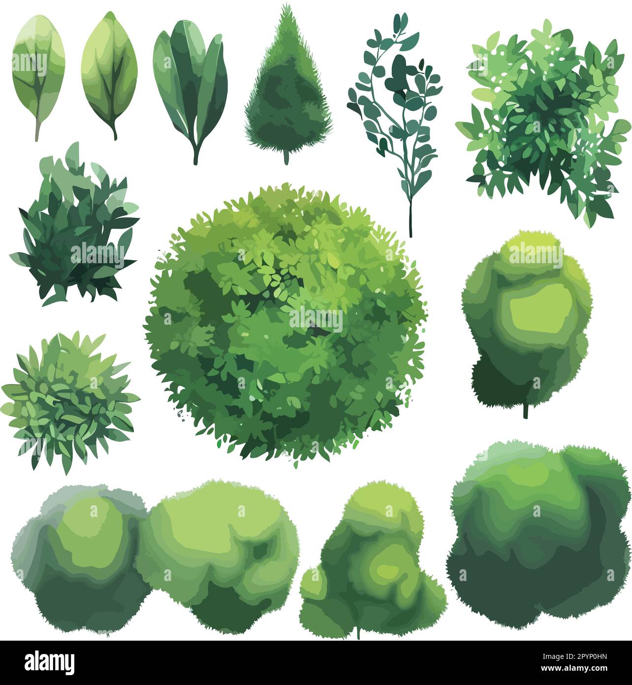 Beautiful Trees Bushes Shrubs Top View Vector Stock Vector Image And Art