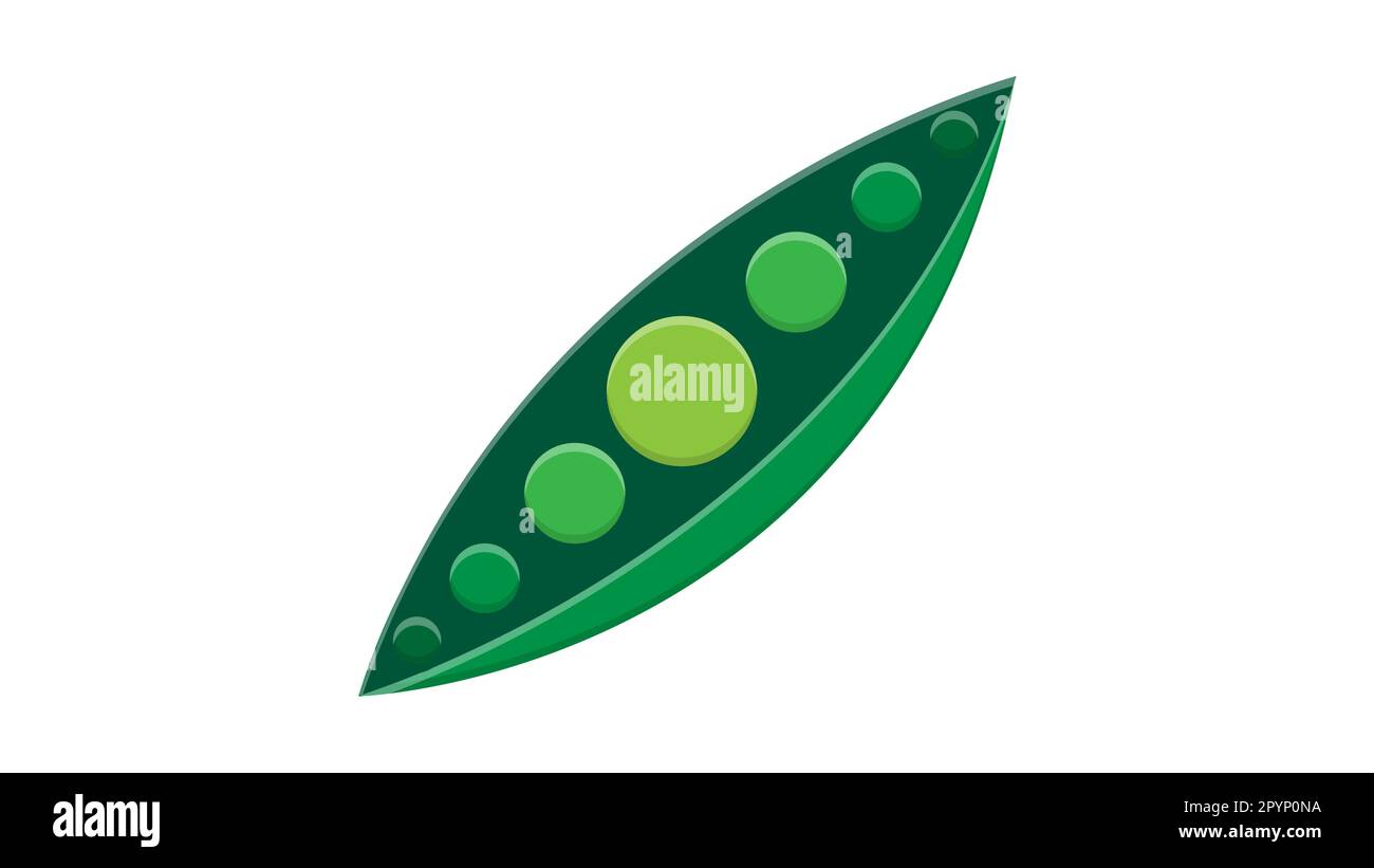 green peas on a white background, vector illustration. peas in a pod ...