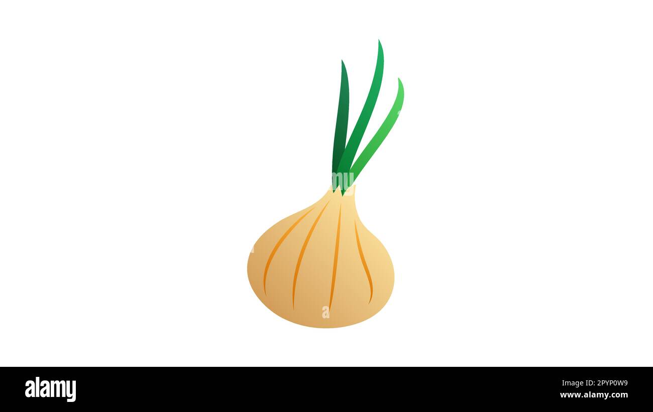 Vector illustration of cartoon yellow onion isolated on white Stock ...